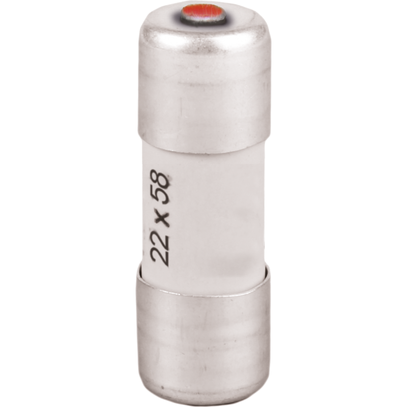 Fusible 100A gL/gG 22x58 à percuteur - 29198 - EUROHM | GENMA